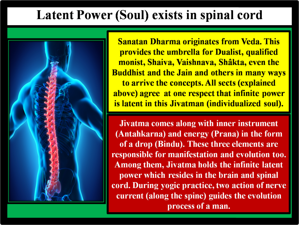 Utility of Soul to Achieve Vibrant personality and World Peace – YOGIC ...